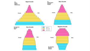 TYPES OF POPULATION PYRAMIDS – 2travellingacrosstime / Viajando a ...