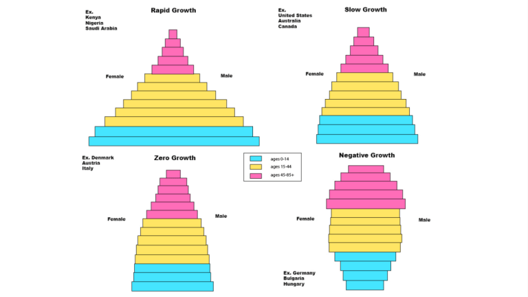 TYPES OF POPULATION PYRAMIDS – 2travellingacrosstime / Viajando a ...