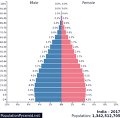 TYPES OF POPULATION PYRAMIDS – 2travellingacrosstime / Viajando a ...