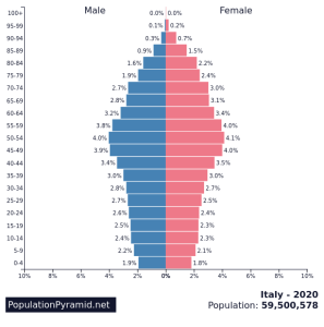 TYPES OF POPULATION PYRAMIDS – 2travellingacrosstime / Viajando a ...